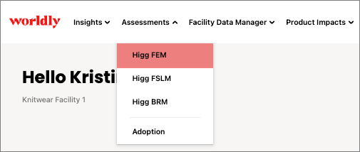 Import FDM data into Higg FEM 2024 – Worldly Training & Support
